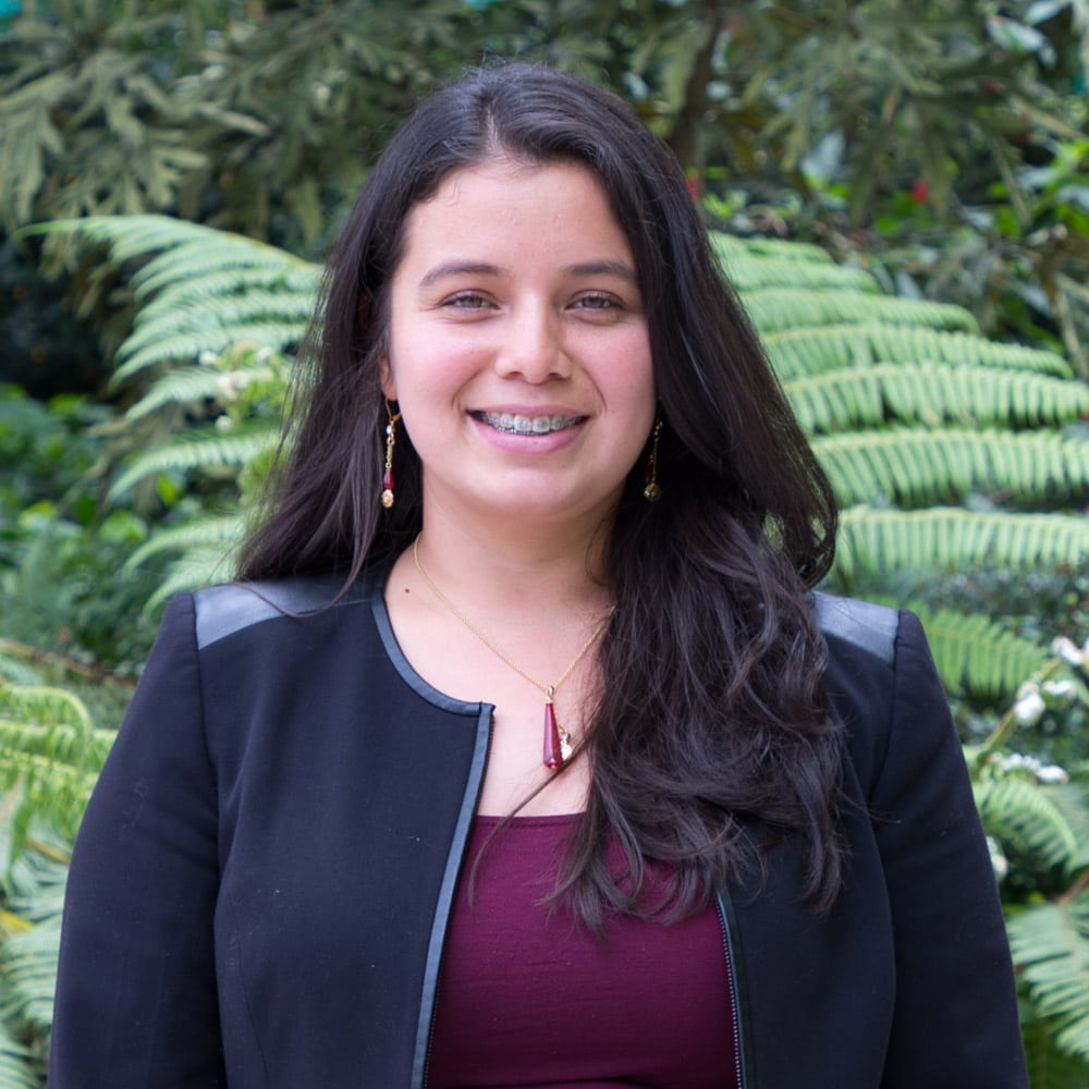 Marcela Silva's Instagram, Twitter & Facebook on IDCrawl